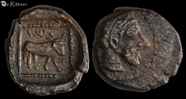 בע"ח על מטבעות עתיקות Animals on ancient coins | אתר הטבע הישראלי ...